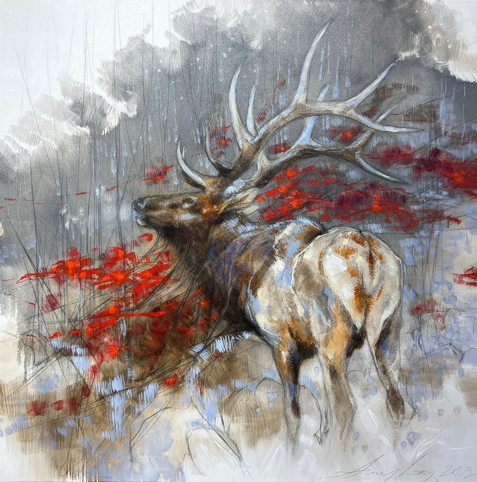 Amy Lay | Sorrel Sky Gallery | David Yarrow Photography