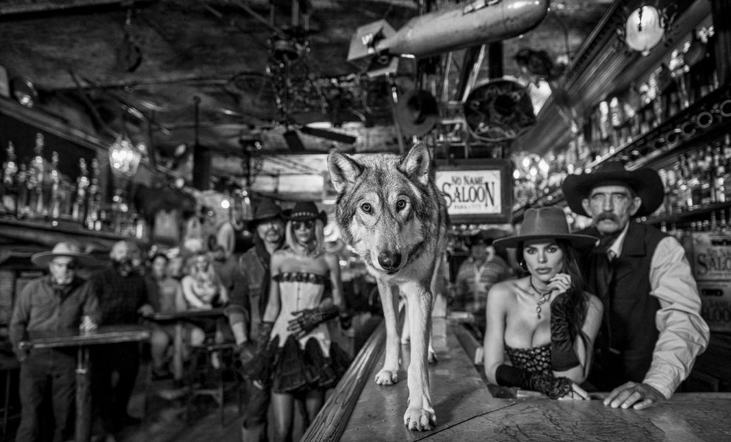 Art Gallery | Durango | Santa Fe | David Yarrow | Kevin Red Star ...