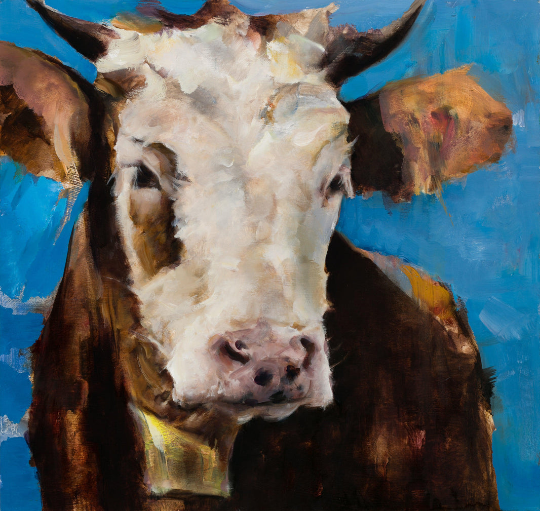 Elsa Sroka | Sorrel Sky Gallery | David Yarrow | Cows
