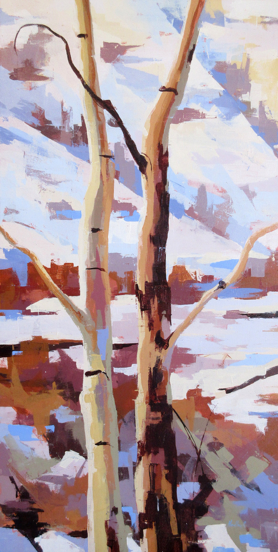 Art Gallery | Durango | Santa Fe | David Yarrow | Kevin Red Star ...