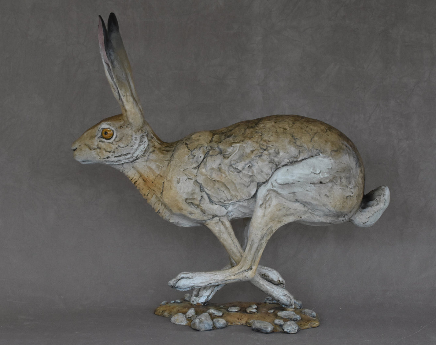 Jack Rabbit V | Jim Eppler | Sorrel Sky Gallery