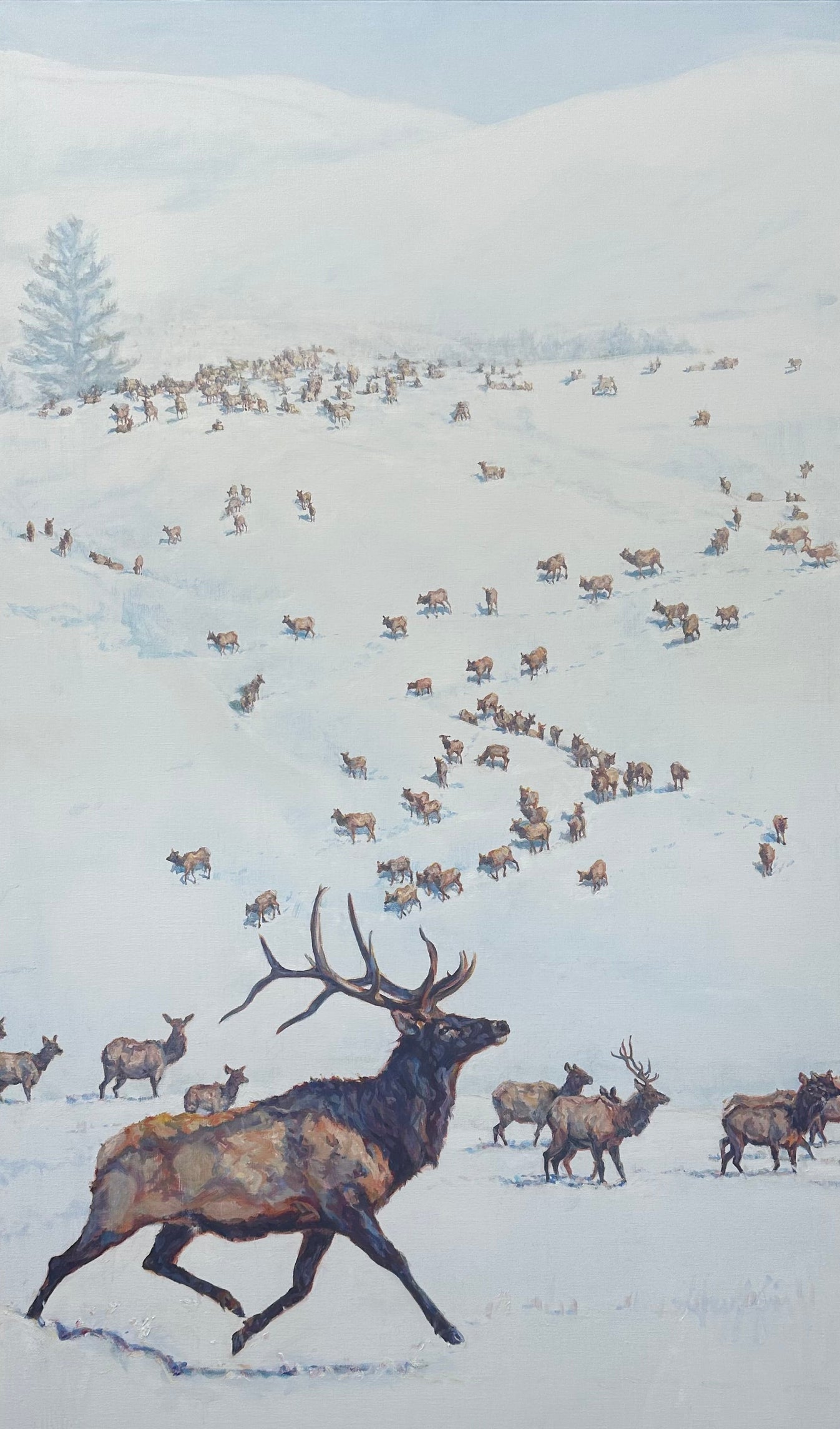 When We Were Elk – Sorrel Sky Gallery