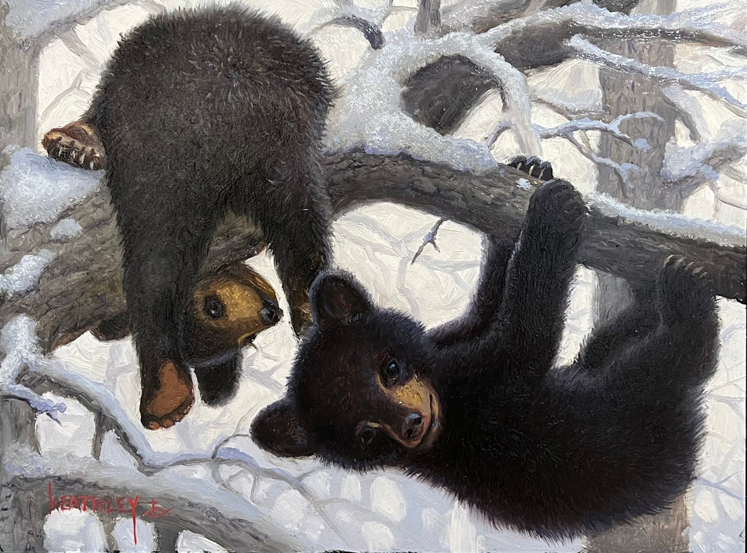 Mark Keathley | Sorrel Sky Gallery | Kevin Red Star | David Yarrow