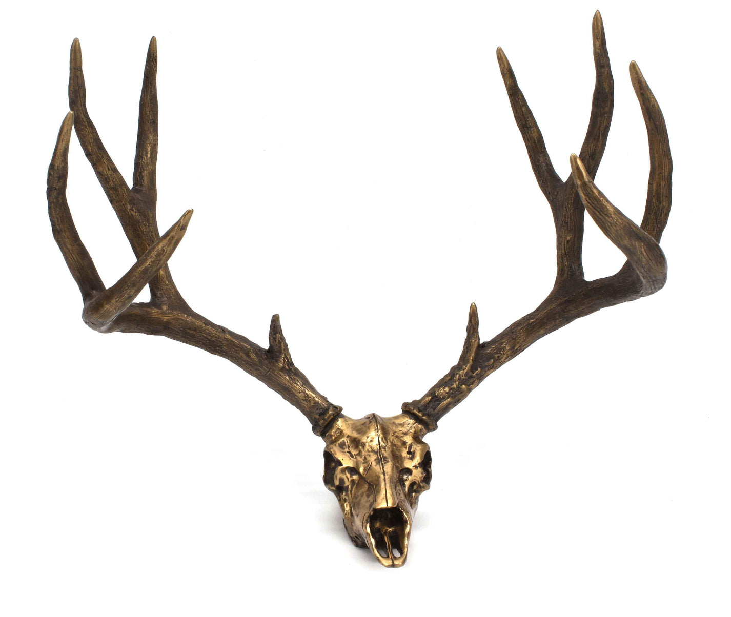Mule Deer Skull | Jim Eppler | Sorrel Sky Gallery